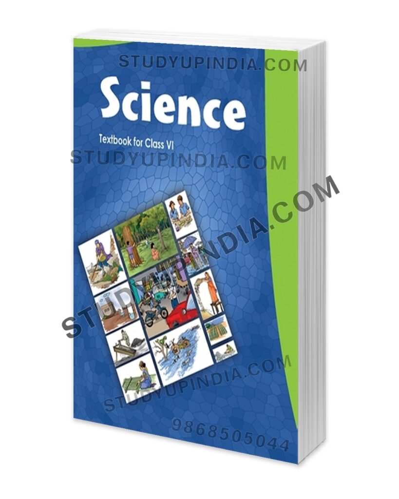 Class 6 Archives - StudyUpIndia