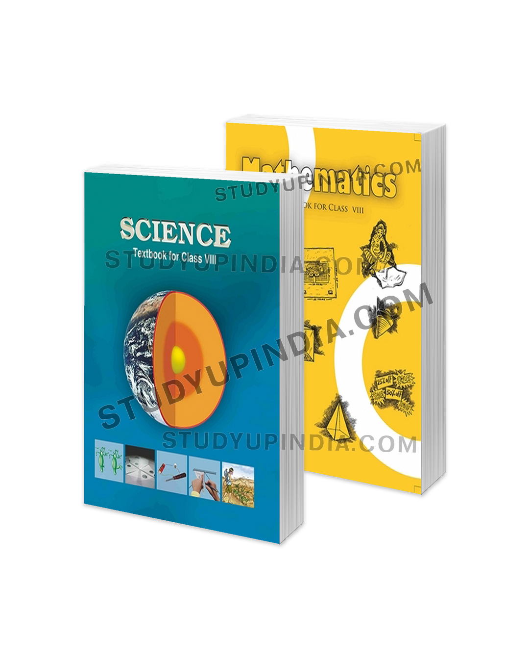 NCERT Class 8 Math Science English Medium 2 Books